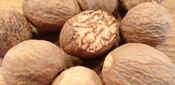 Muskatnuss – gibt faden Gerichten pfiff | Gewürzkompanie