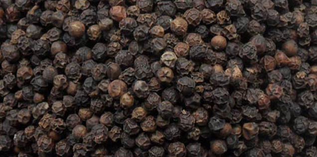 Pfeffer – vielfalt an Sorten & Geschmack aus aller Welt | Gewürzkompanie
